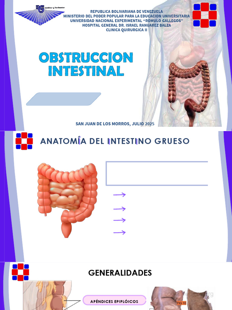 Anatomía y Obstrucción del Intestino Grueso | PDF | Intestino grueso ...