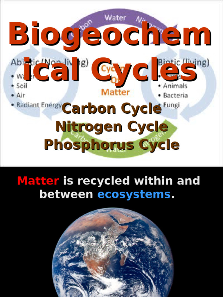 Biogeochemical Cycles: Carbon, Nitrogen, Phosphorus | PDF | Carbon ...