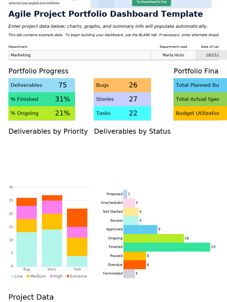 Agile Portfolio Dashboard Template | PDF | Computing