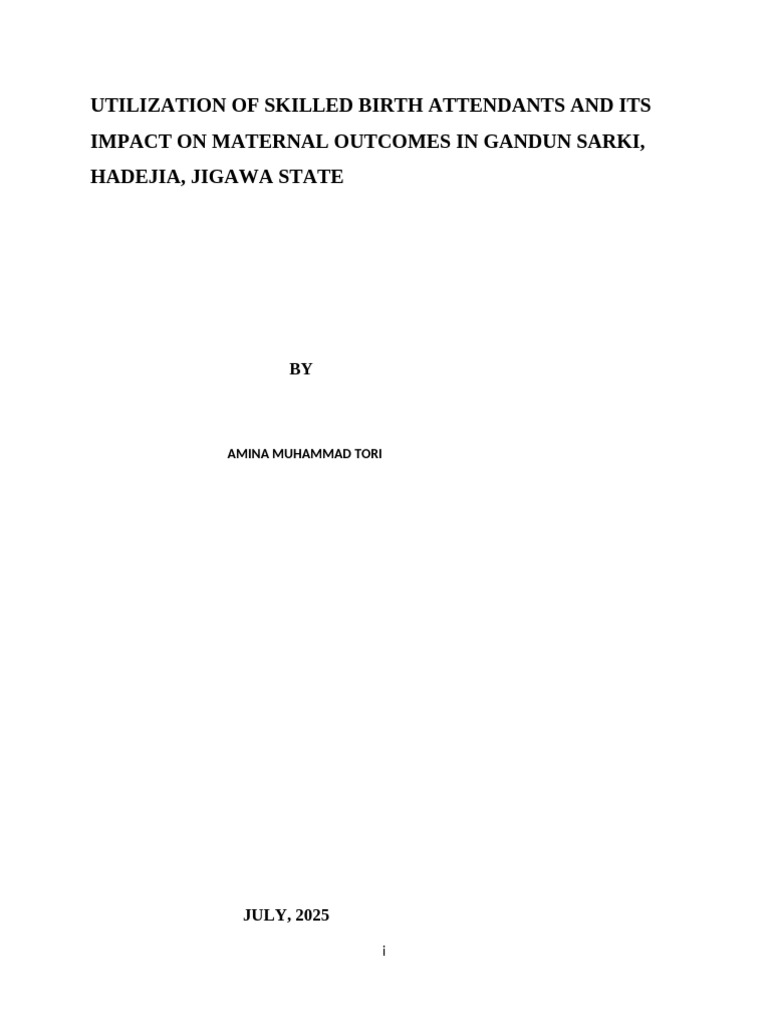 Skilled Birth Attendants' Impact on Maternal Health | PDF | Childbirth ...