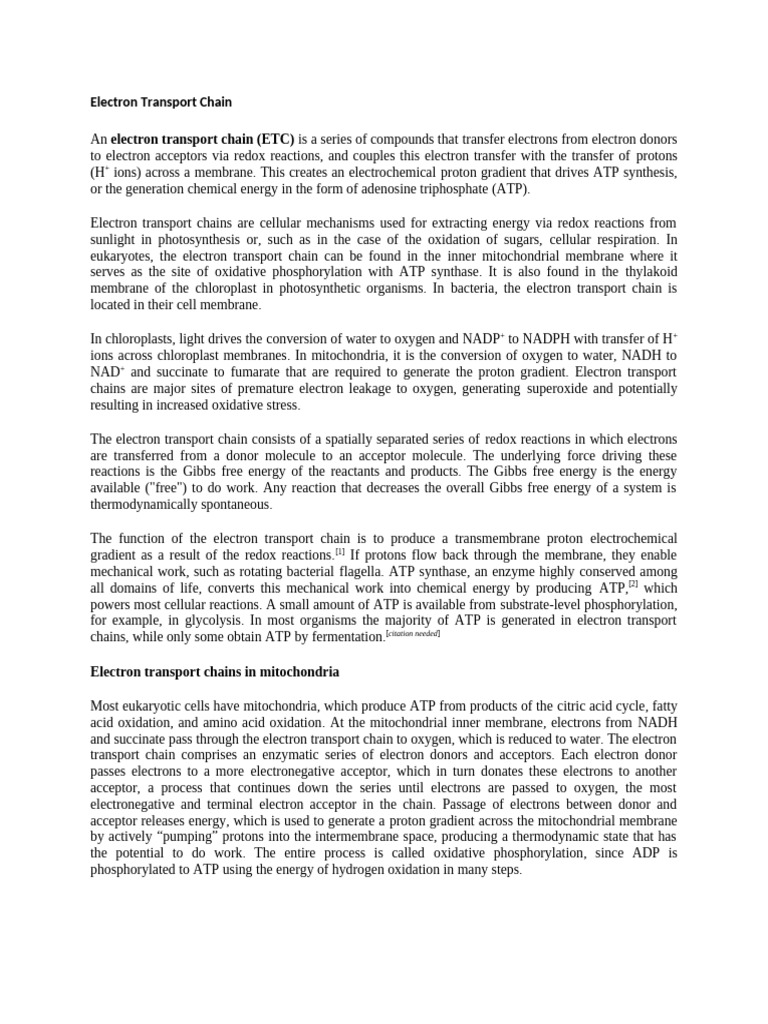 Electron Transport Chain in Photosynthesis and Mitochondria | PDF ...