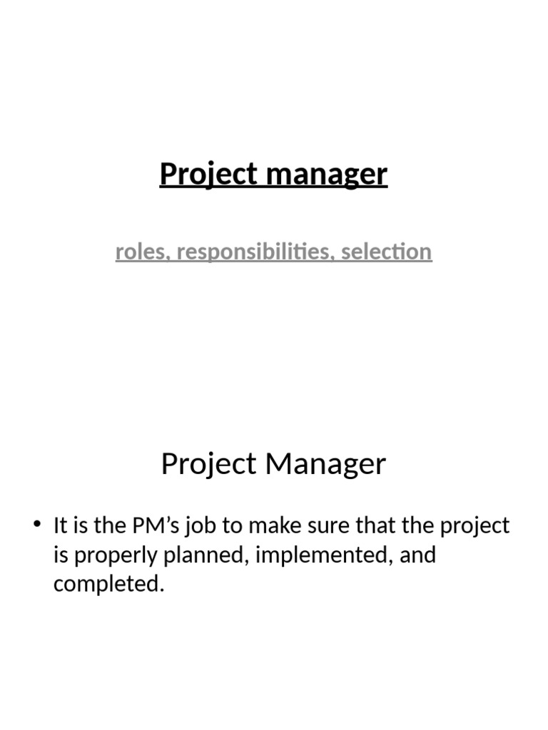 2 Project Manager | PDF