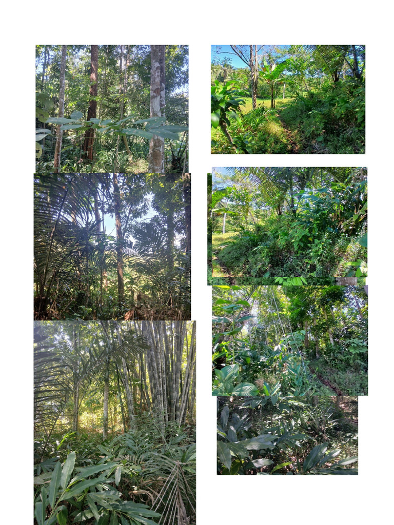 Money Management | PDF