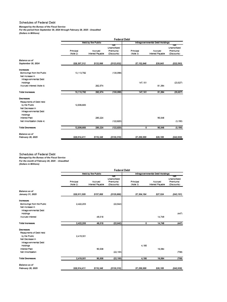 Federal Debt Schedules February 2025 | PDF | National Debt Of The ...