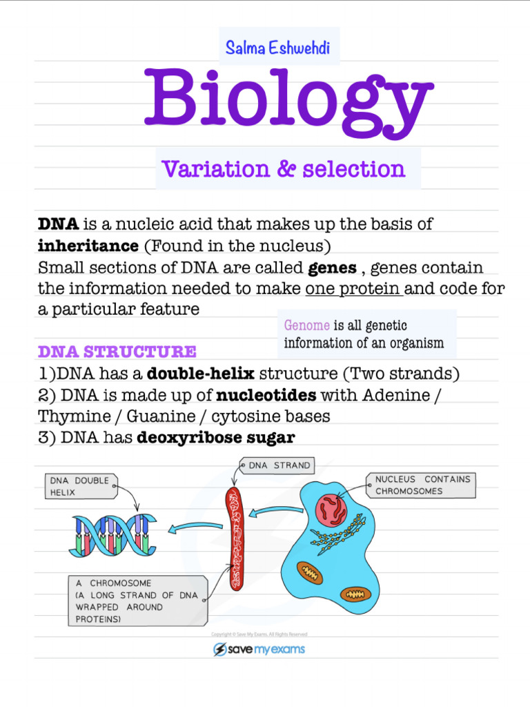 Genetics 1 ? | PDF