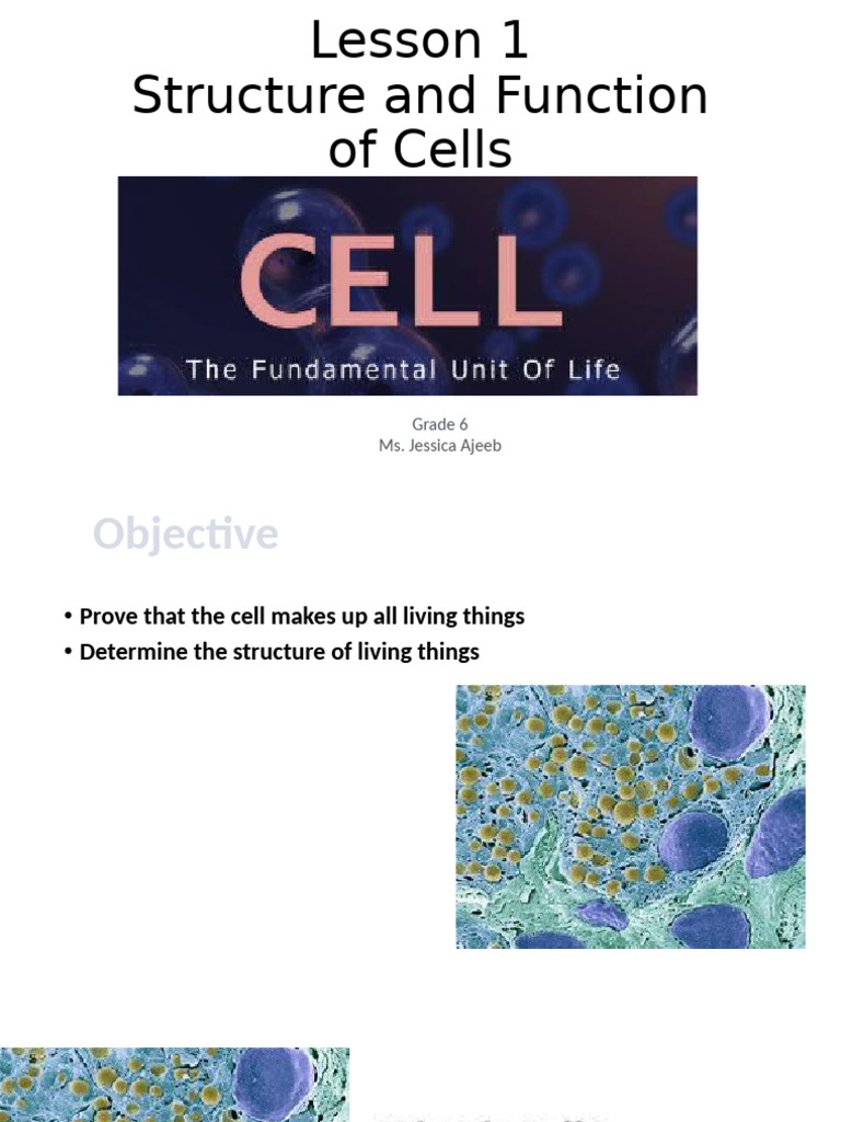 L1 - Structure and Function of Cells (Students) | PDF
