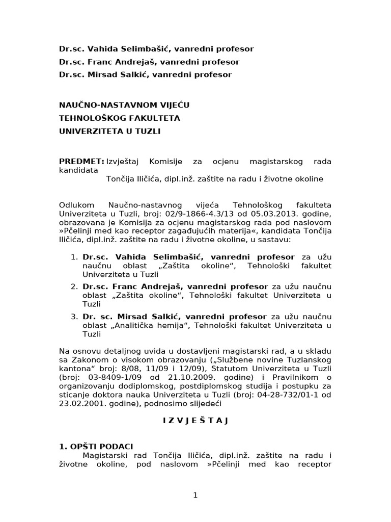 Izvjestaj Ilicic Mag | PDF