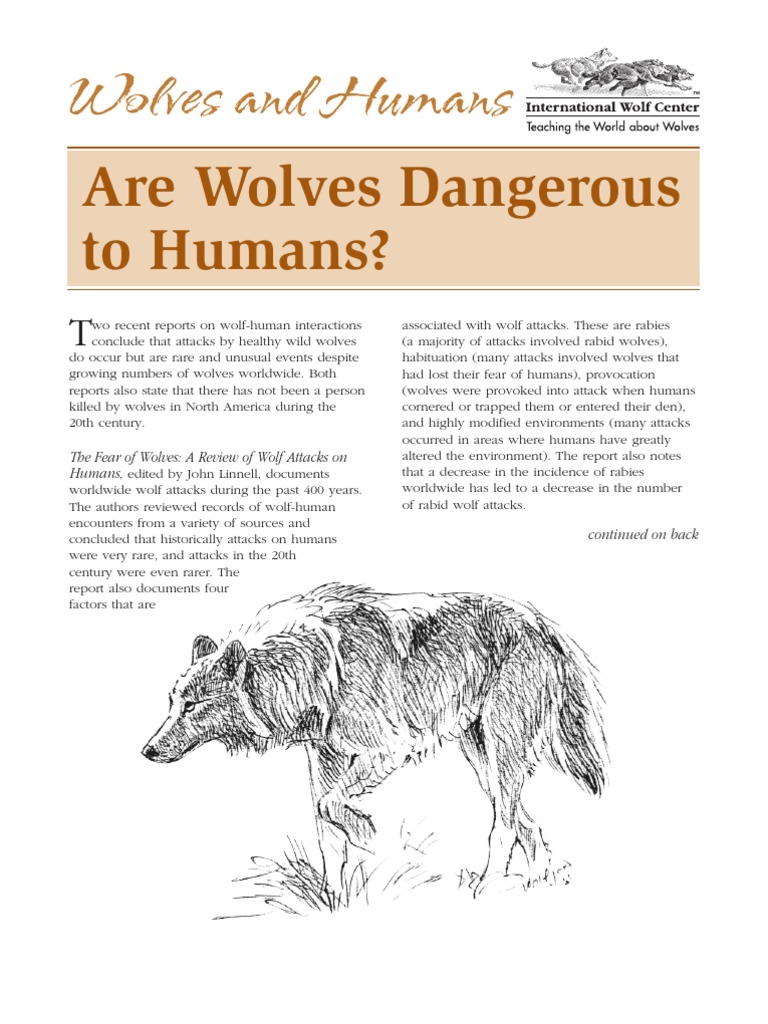 WH Are Wolves Dangerous | PDF | Gray Wolf | Wolves