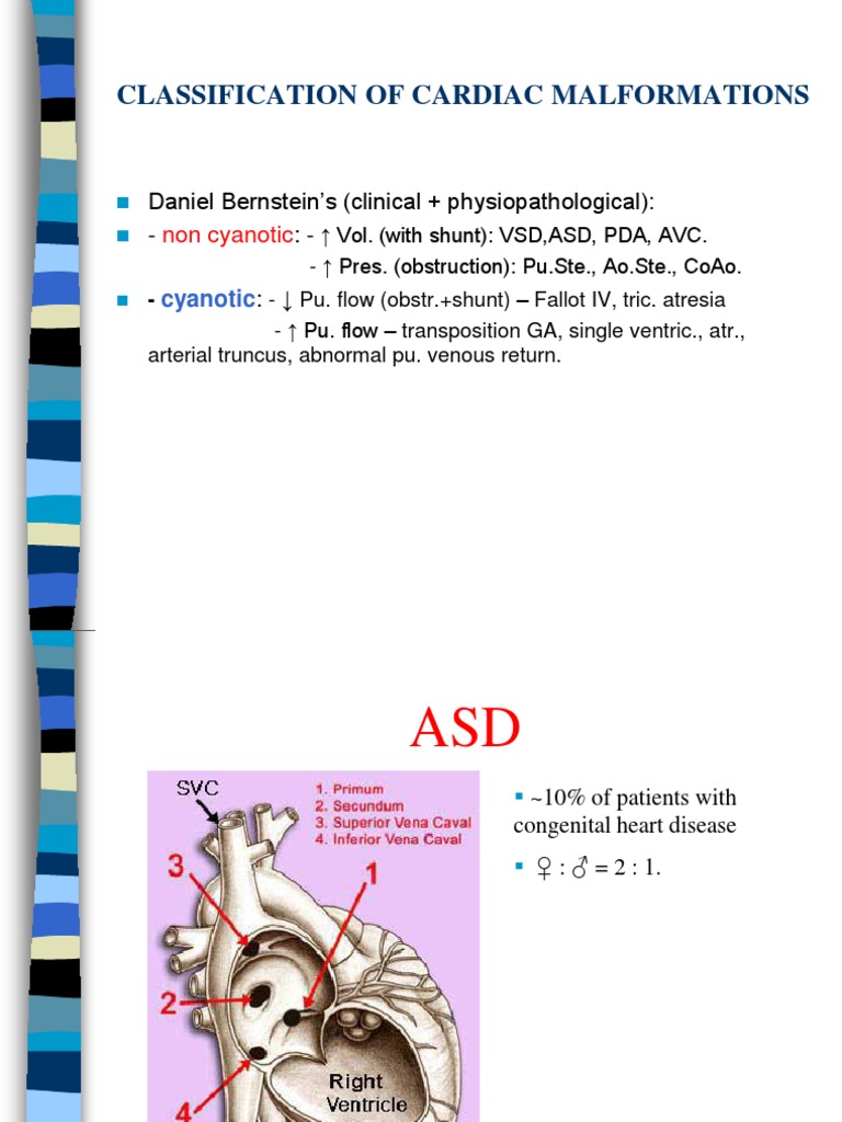 Cardiac Malformations Classification Guide | PDF | Heart Valve ...