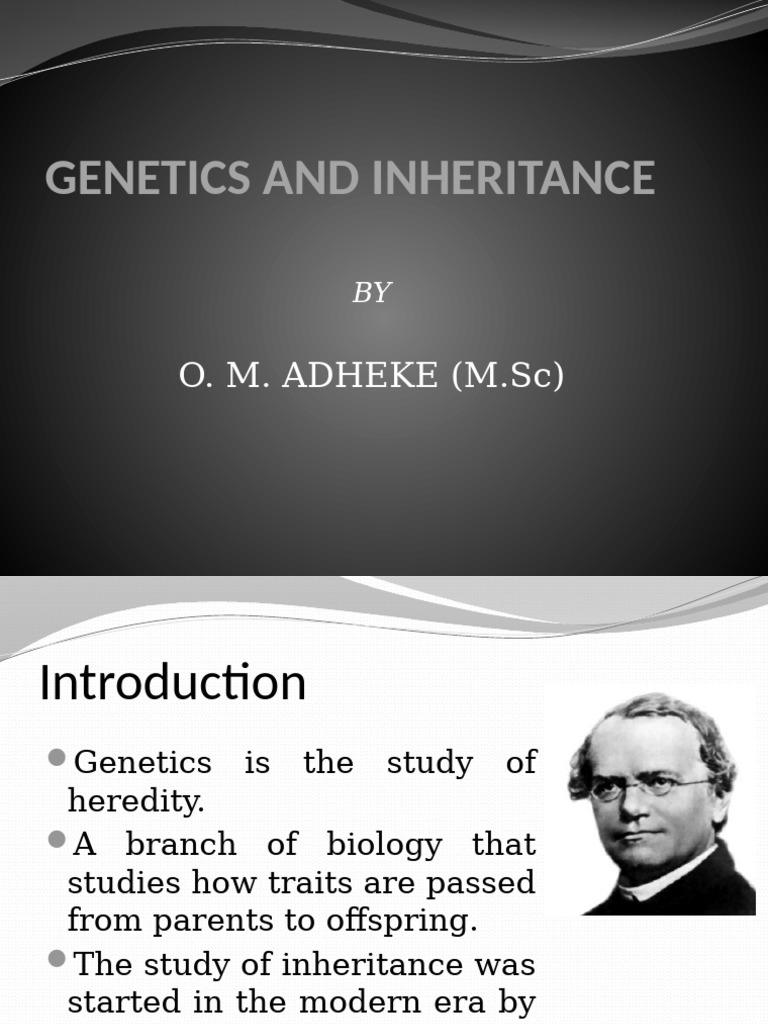 Genetics and Inheritance | PDF | Dominance (Genetics) | Allele