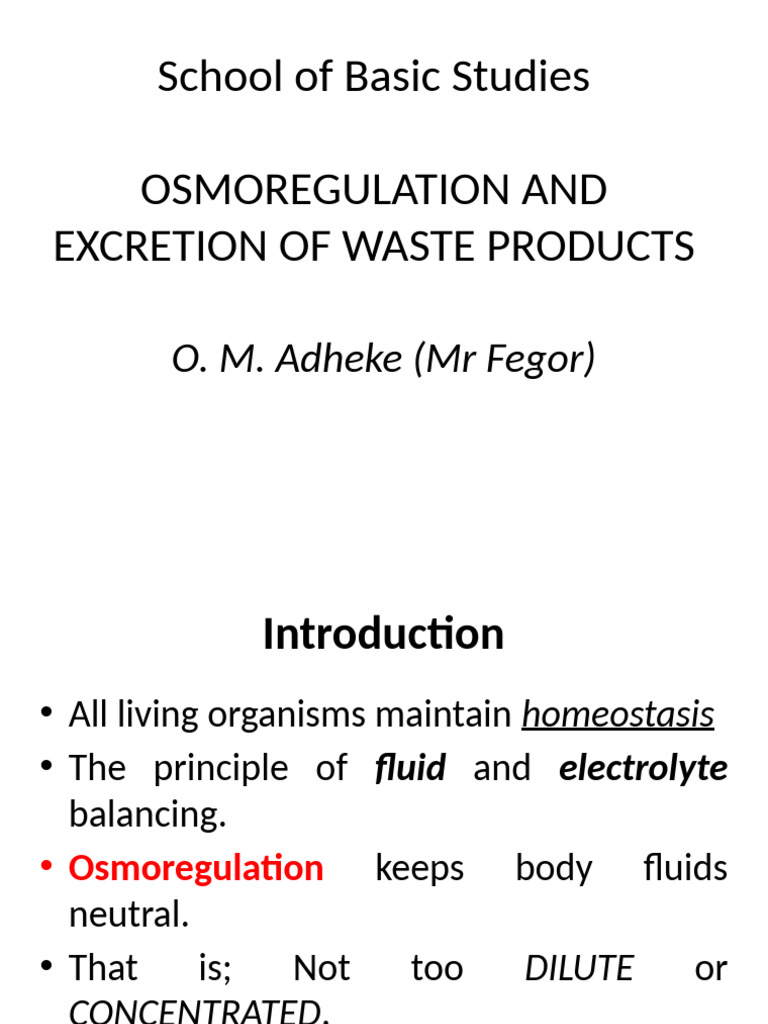 Osmoregulation and Excretion Explained | PDF | Kidney | Organ (Anatomy)