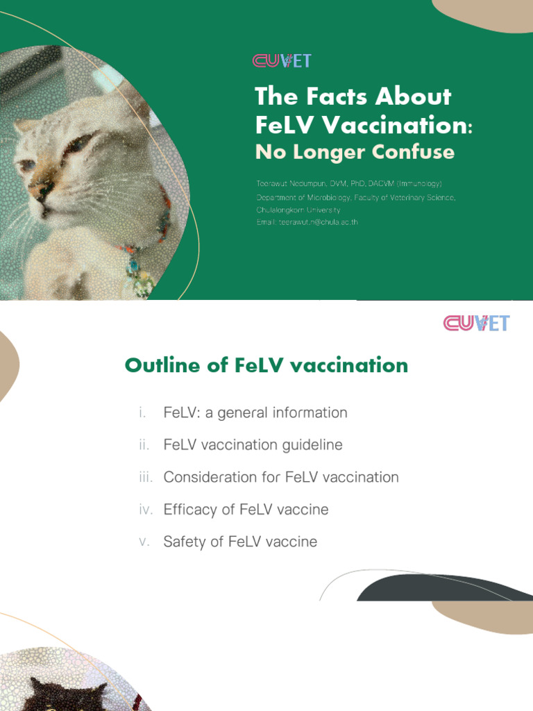 Understanding FeLV Vaccination for Cats | PDF | Vaccines | Viral Vector