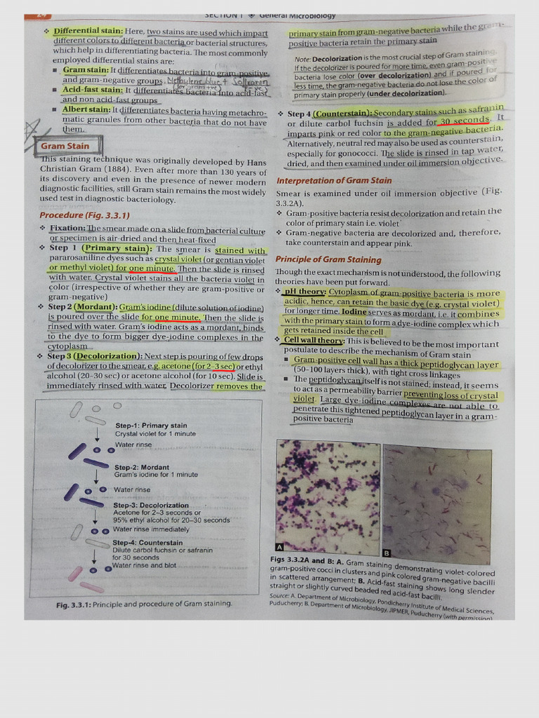 Microbiology Imp Topics 241016 180801 | PDF