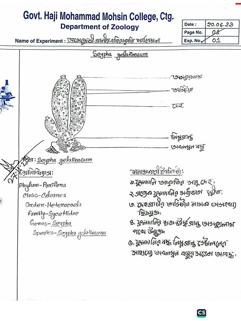 Zoology Practical | PDF
