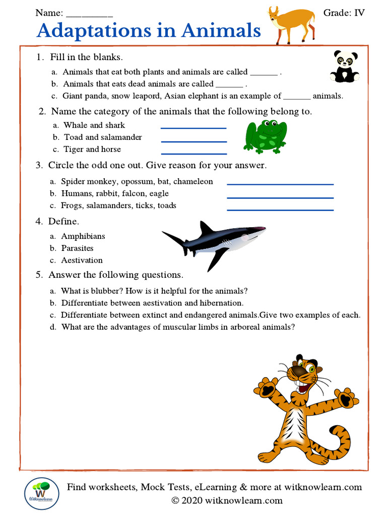 Adaptations in Animals Grade 4 0 2020 11 08 065844 | PDF