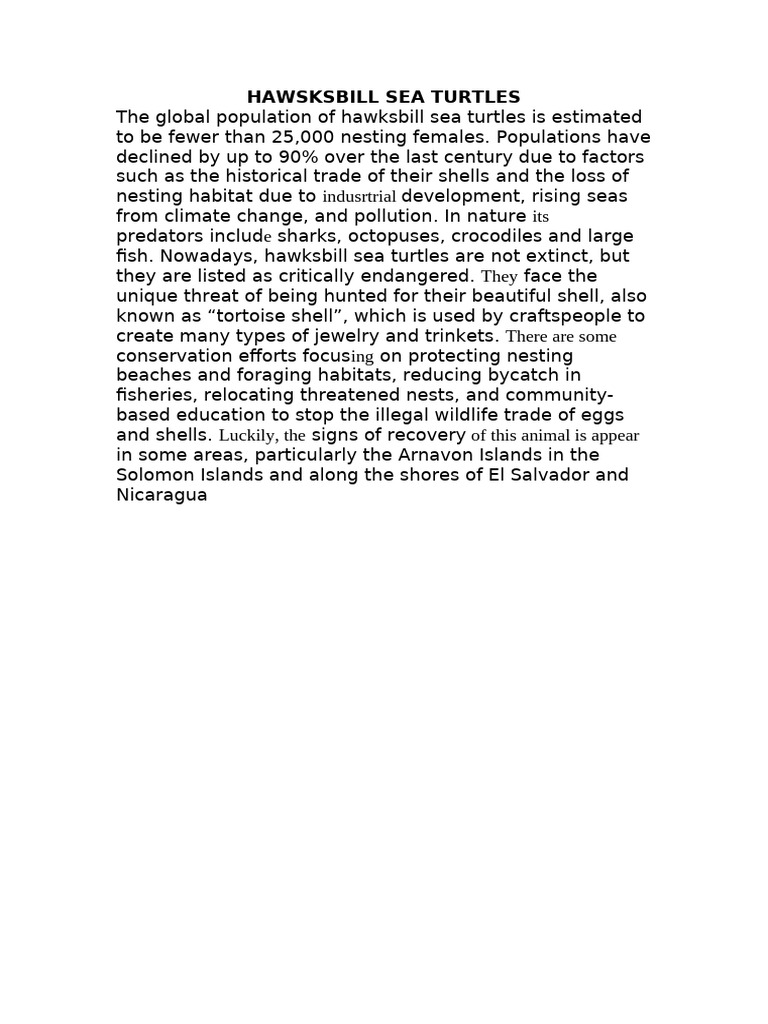 Hawsksbill Sea Turtles | PDF