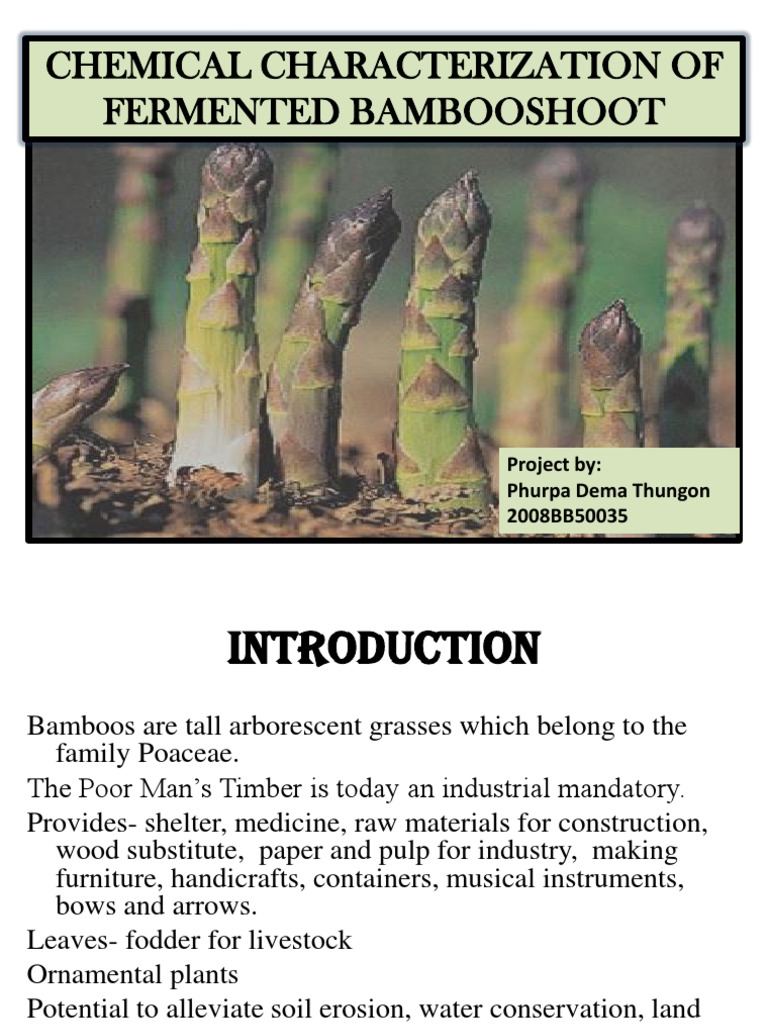 Chemical Analysis of Fermented Bamboo Shoots | PDF | Bamboo ...