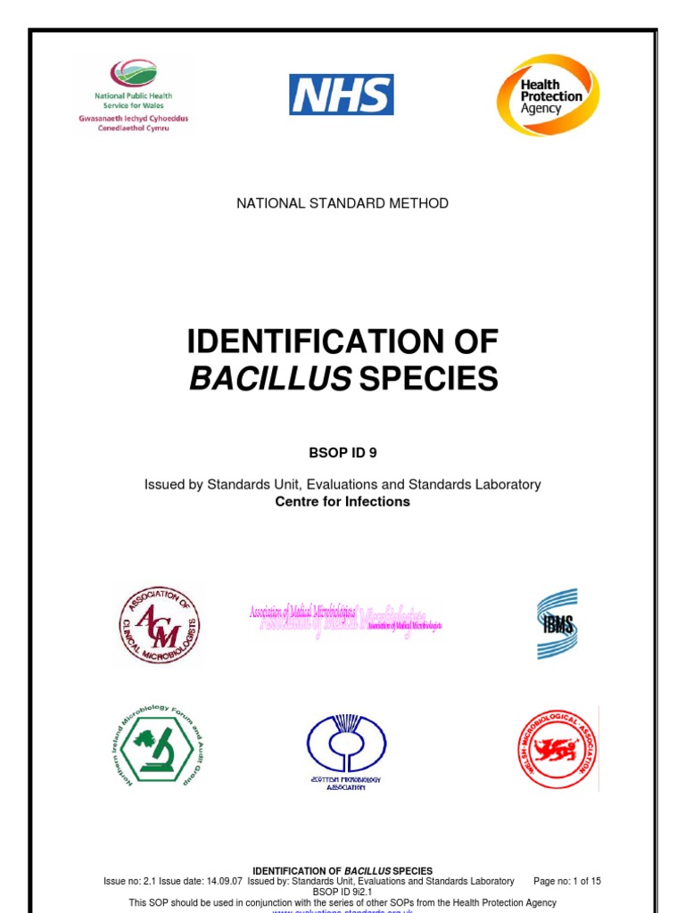Identification Of: Bacillus Species | PDF | Bacillus | Microbiology