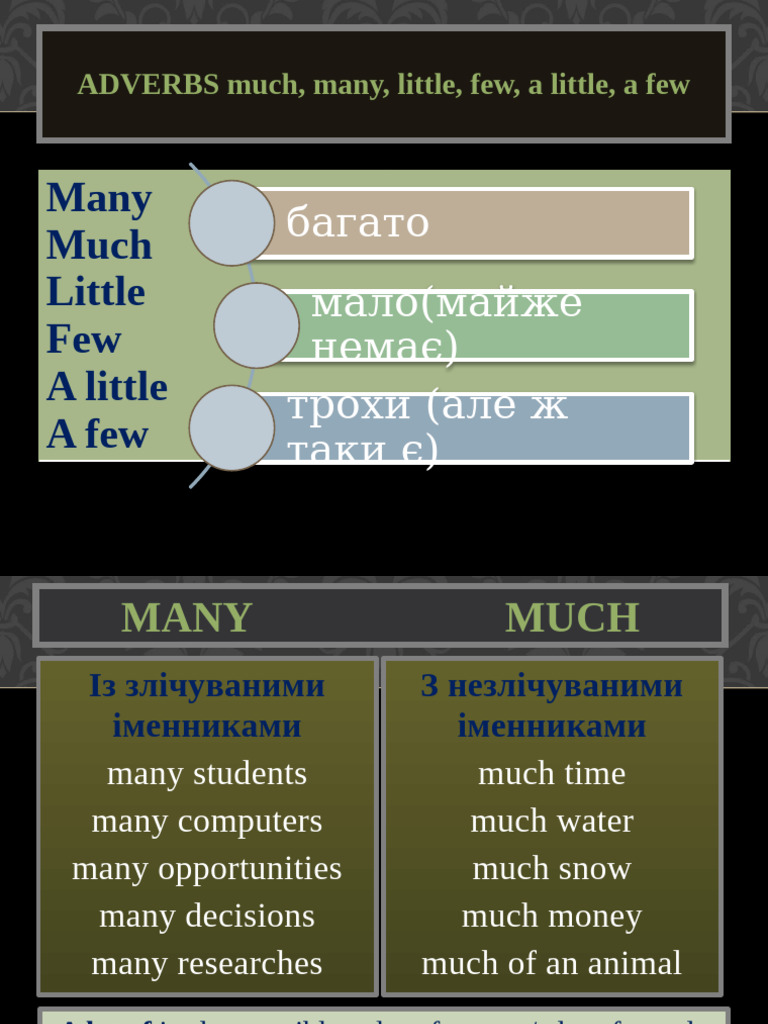 Understanding Much and Many Usage | PDF