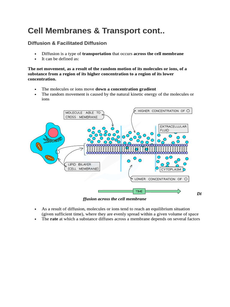 Cell Membranes and Transport Cont.. | PDF | Osmosis | Cell Membrane