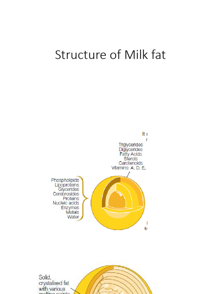 Milk Fat Strcucture | PDF
