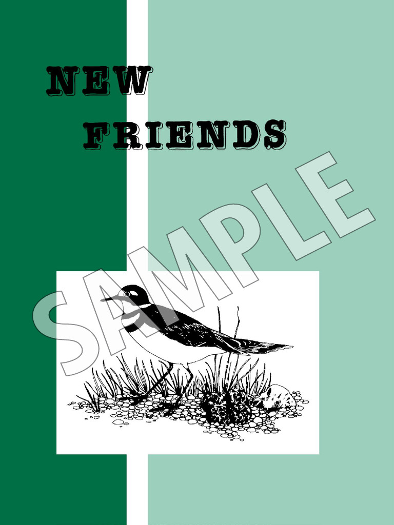 Pathway Reader New Friends Sample | PDF
