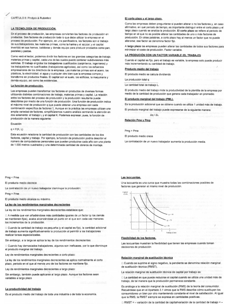 CAP 6 Pyndick | PDF