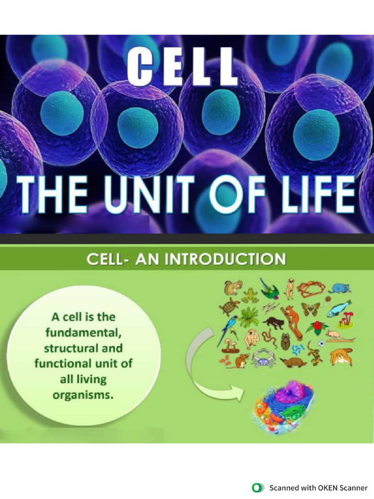 Cell The Unit of Life | PDF