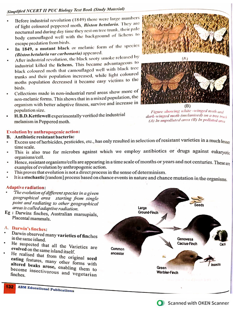 Evolution Part 2 | PDF