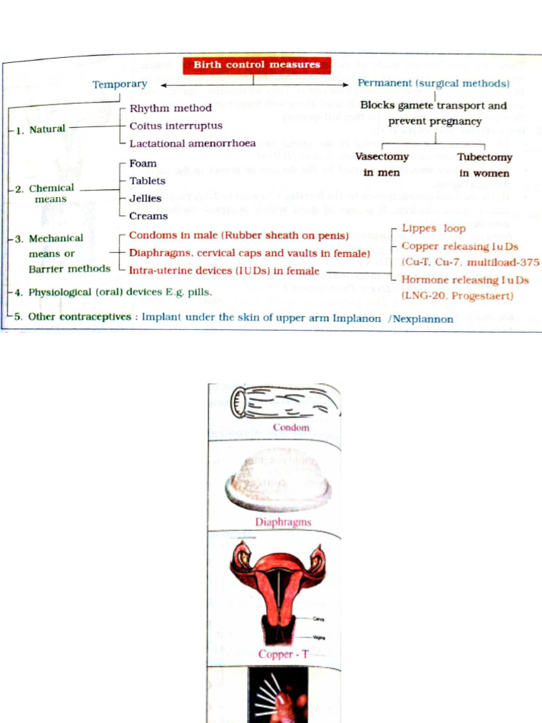 Reproductive Health Diagrams | PDF