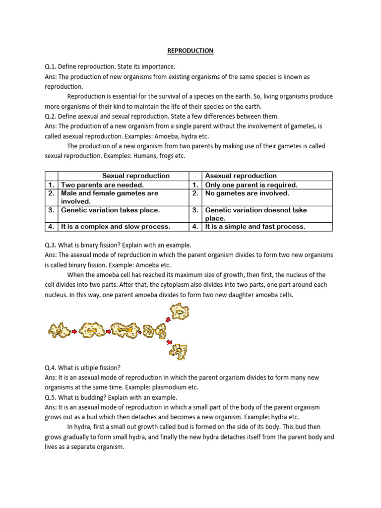 Reproduction | PDF | Reproduction | Flowers