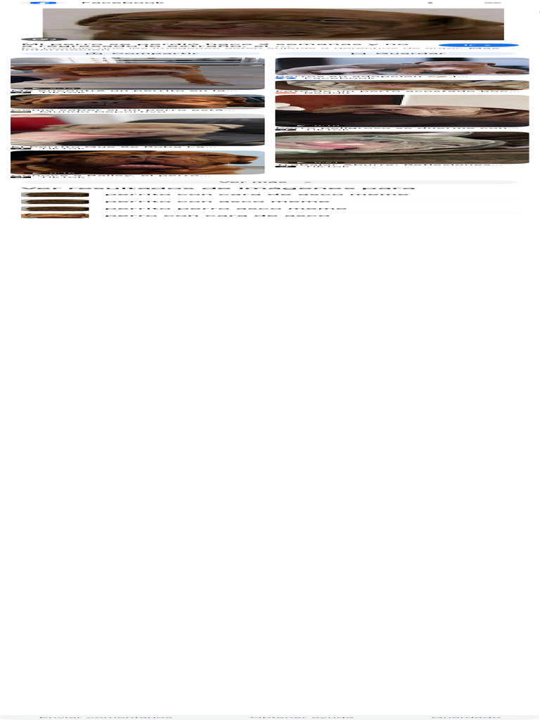 Perro Con Cara de Asco Meme - Buscar Con Google | PDF | Red social | Red de computadoras