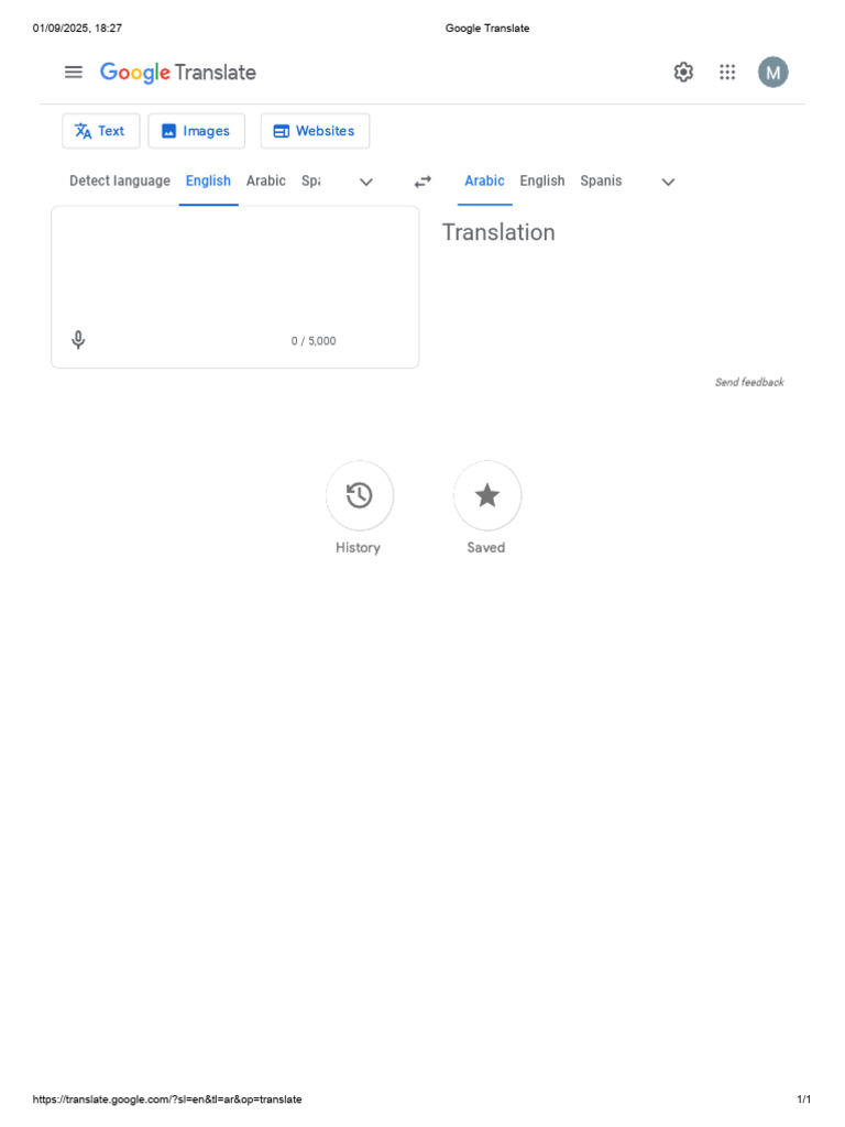 Google Translate | PDF