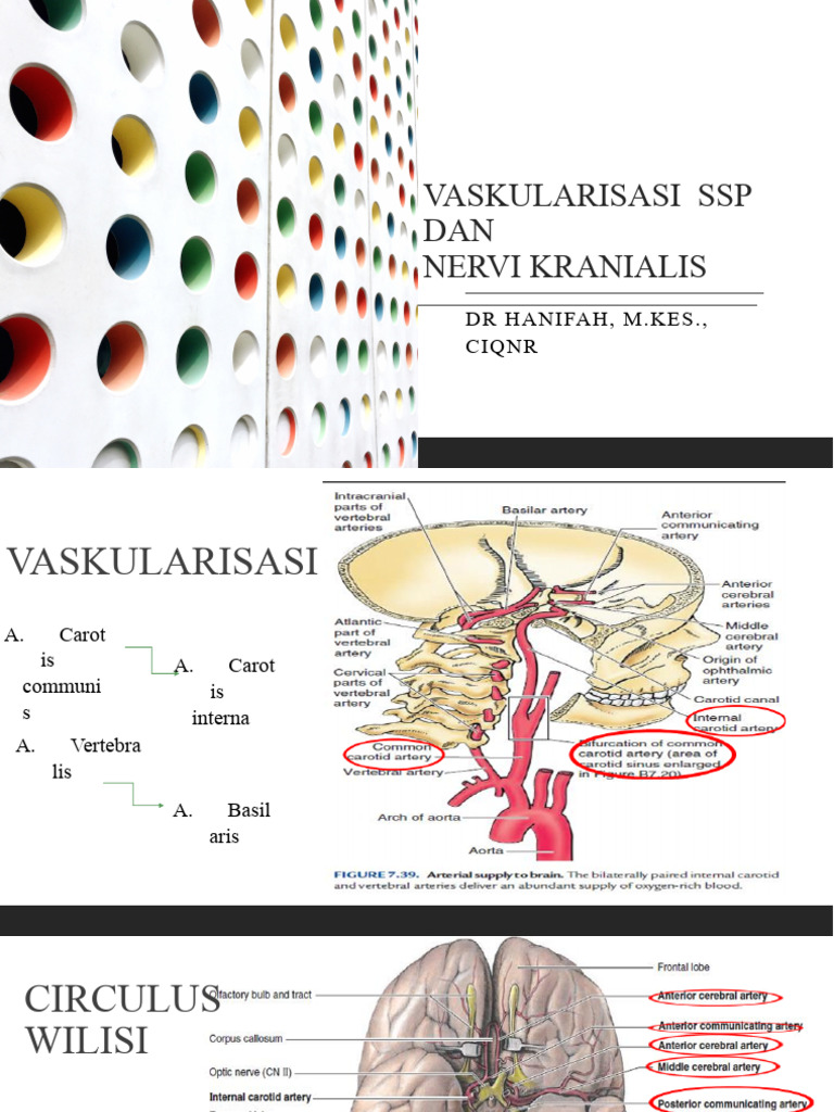 Vaskularisasi SSP | PDF