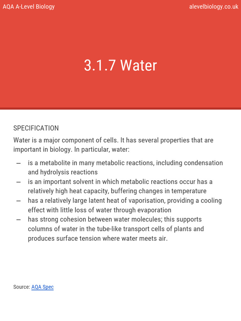 Importance of Water in Biology | PDF | Water | Biology