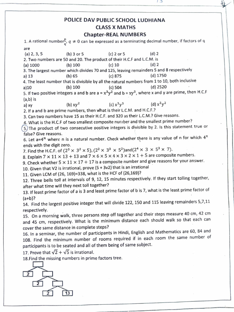 Class 10 Maths Worksheets | PDF | Circle | Polynomial