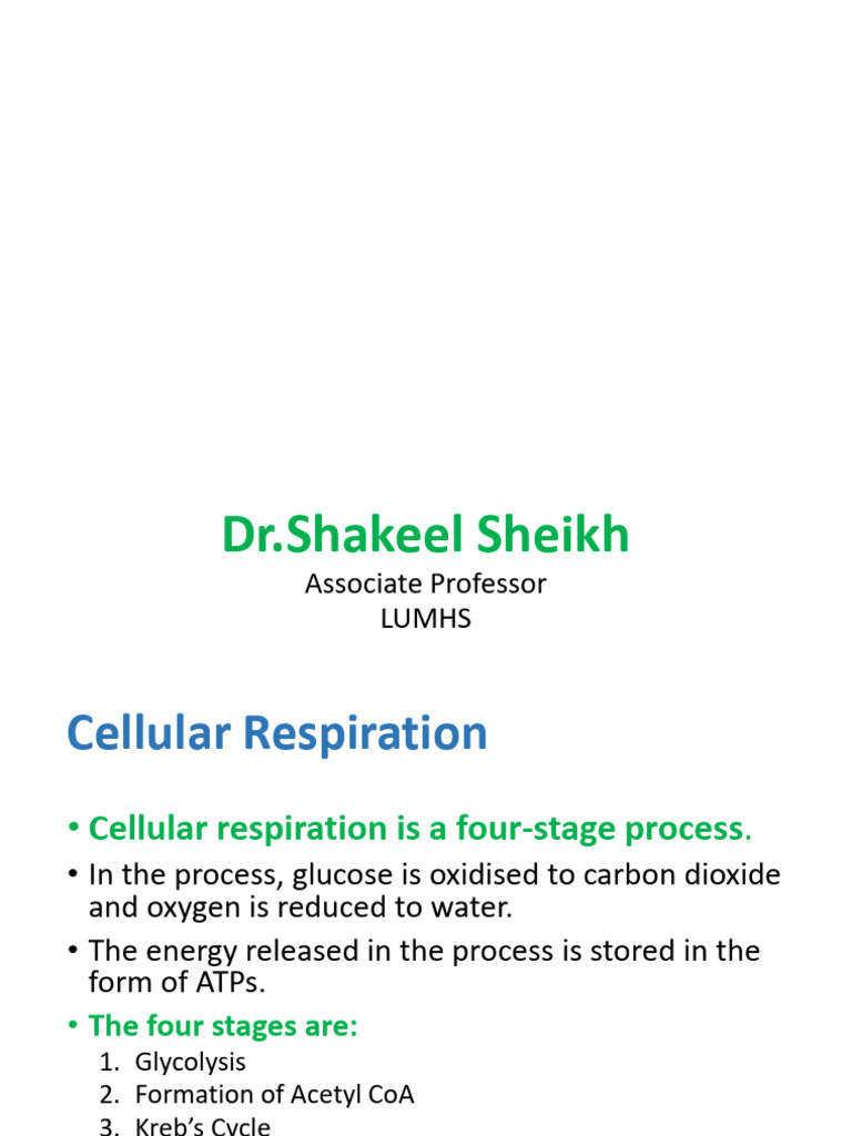 Glycolysis | PDF | Glycolysis | Cellular Respiration