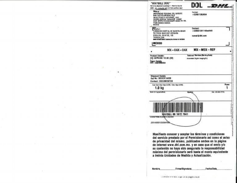 Guia Envio DHL | PDF