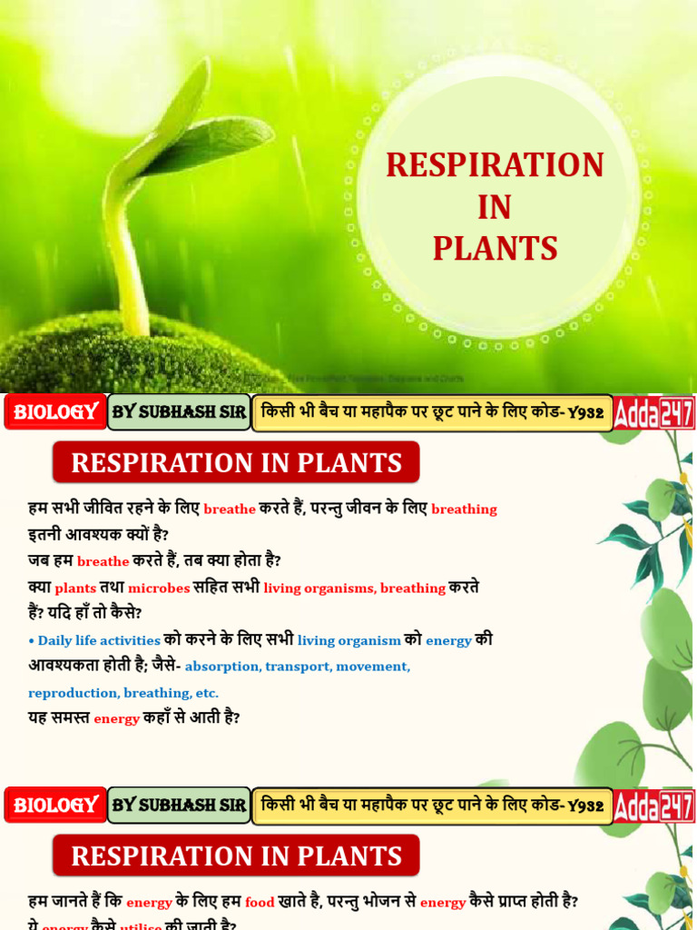 Respiration IN Plants | PDF