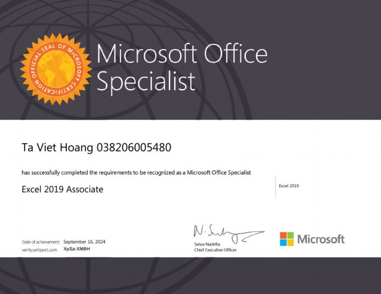 Excel 2019 Associate | PDF