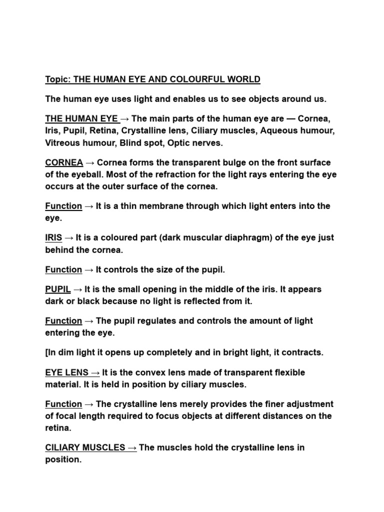 Human Eye Anatomy and Function Explained | PDF | Eye | Rainbow