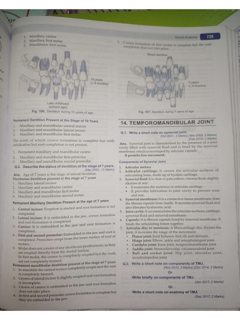 TMJ | PDF