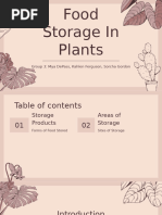 Food Storage in Plants | PDF | Seed | Plants