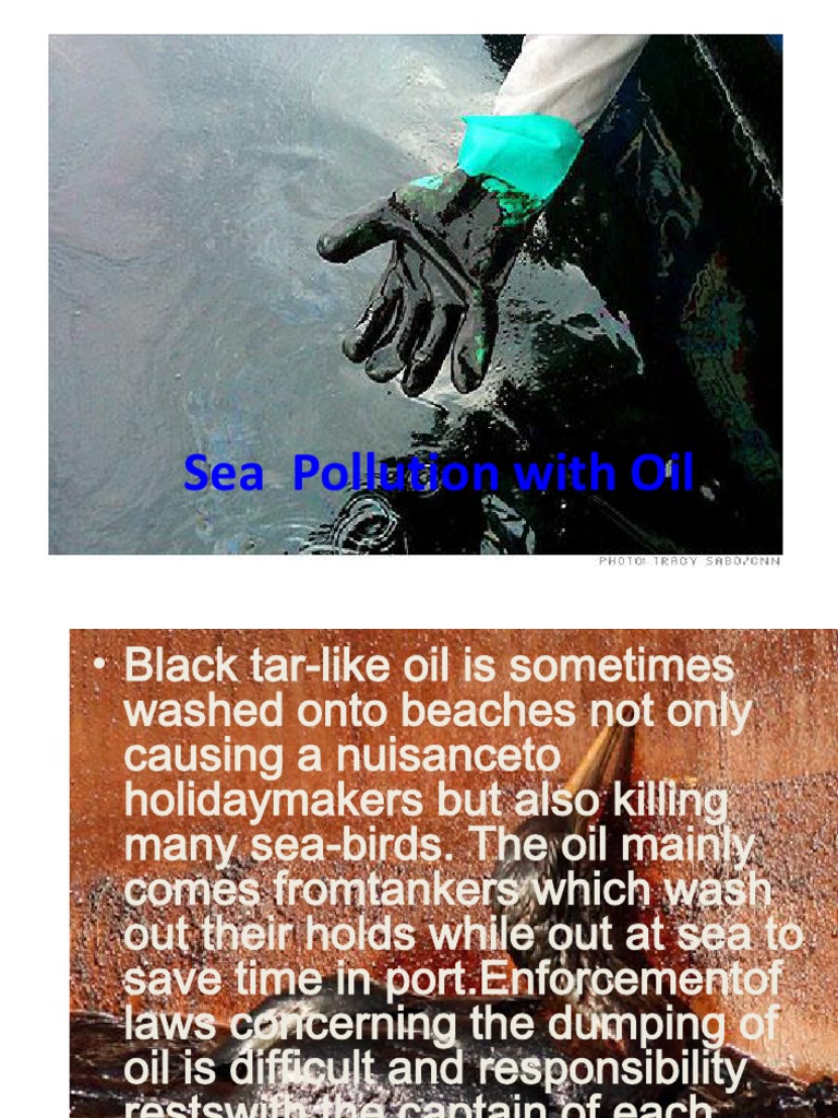 Impact of Oil Pollution on Marine Life | PDF | Cooking, Food & Wine ...