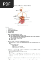 Anatomy and Physiology of Acute Gastroenteritis | PDF | Stomach ...