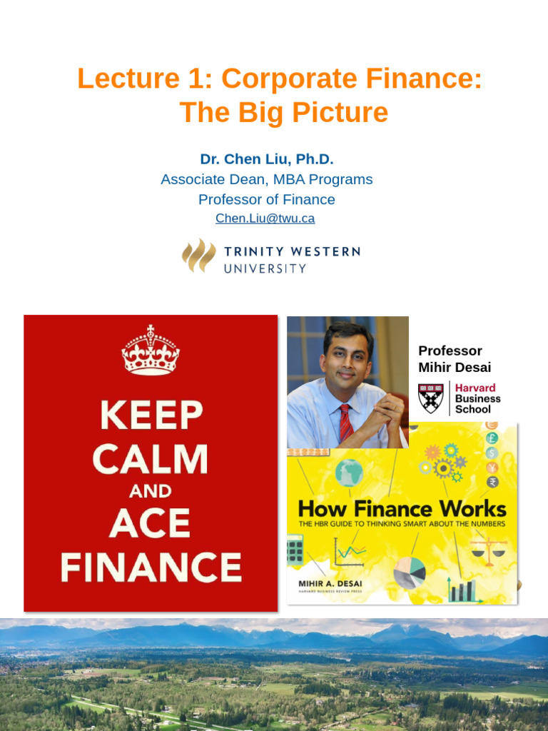 Lecture 1 Finance - The Big Picture | PDF | Investing | Equity (Finance)