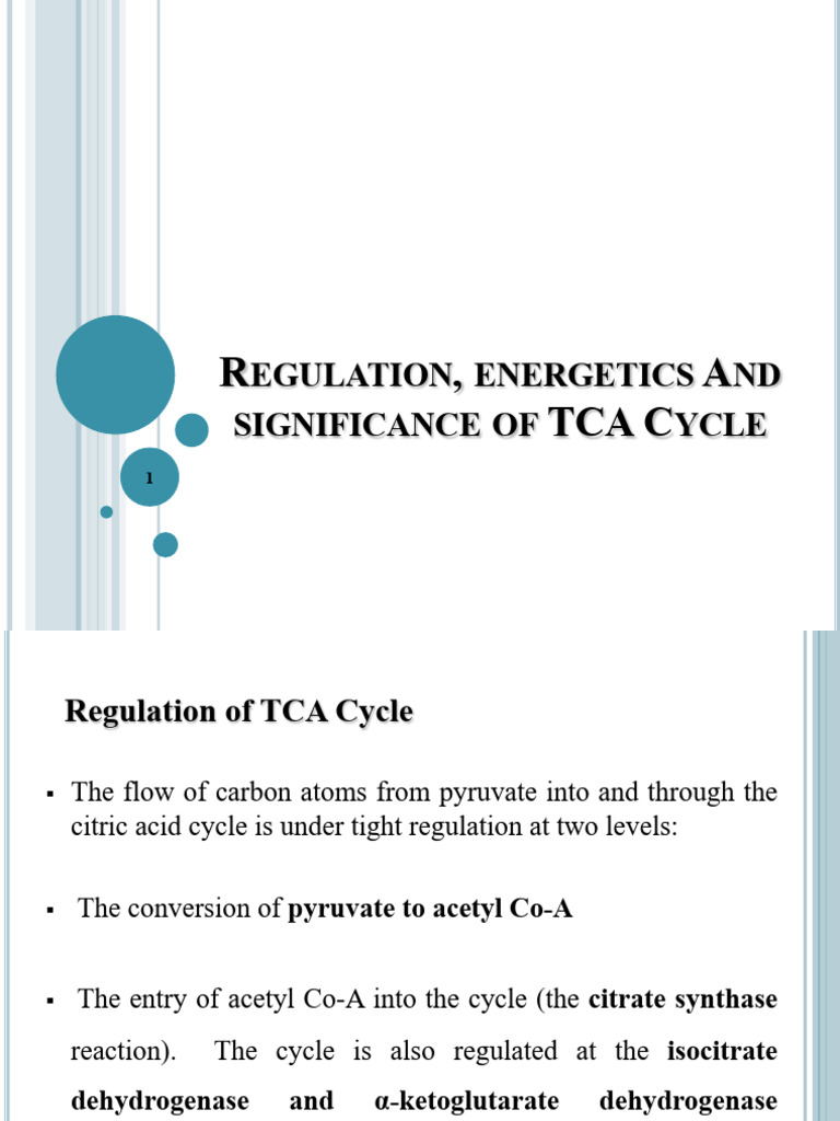 TCA Cycle: Regulation and Energetics | PDF | Citric Acid Cycle | Chemistry