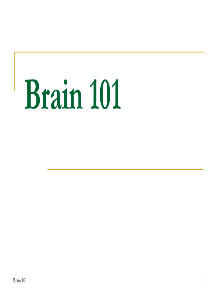 The Human Brain - Worksheets - 1 | PDF | Brain | Cerebral Hemisphere