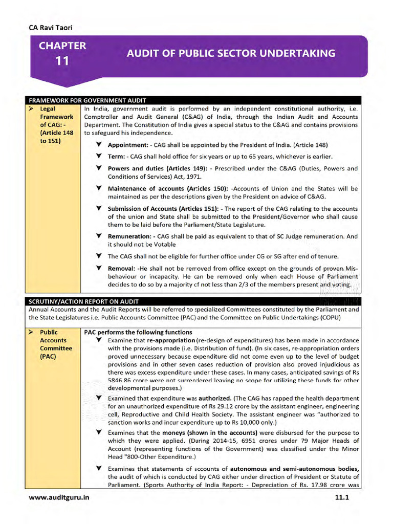 Chapter 11 Audit of Public Sector Undertakings | PDF