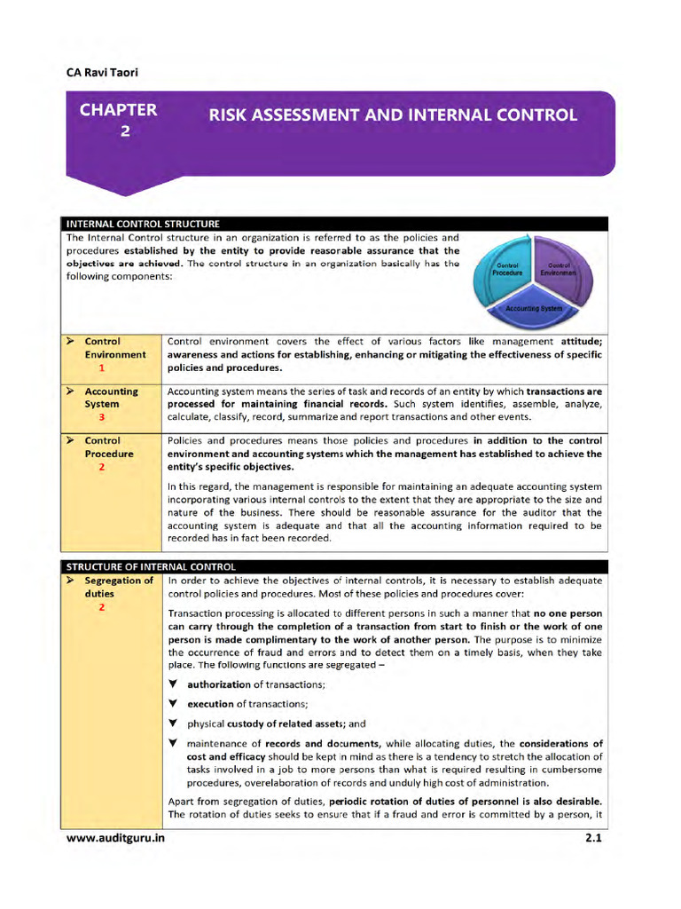 Chapter 2 Risk Assessment and Internal Control | PDF